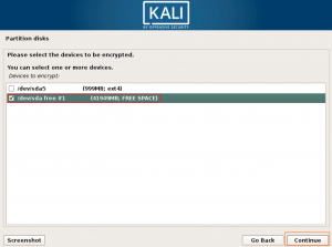 How to Manually Partition and Encrypt (Kali) Linux | IT Blog