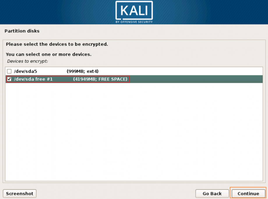 How to Manually Partition and Encrypt (Kali) Linux | IT Blog