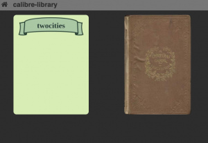 How to setup ebook server (Calibre) | IT Blog