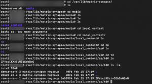 Install Matrix Synapse on Ubuntu 20.04 | IT Blog