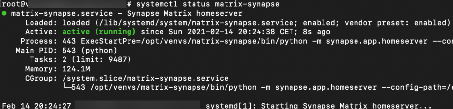 Install Matrix Synapse on Ubuntu 20.04 | IT Blog