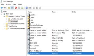 Implementing Two-Tier PKI – issuing Web Server certificate for Windows ...