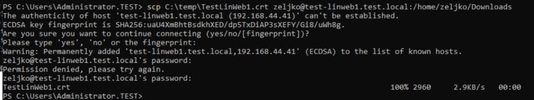 Implementing Two-Tier PKI – issuing Web Server certificate for Windows ...