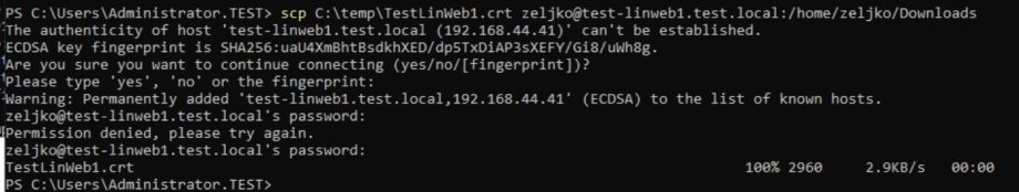 Implementing Two-Tier PKI – issuing Web Server certificate for Windows ...