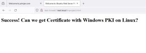 Implementing Two-Tier PKI – issuing Web Server certificate for Windows and Linux Web servers ...
