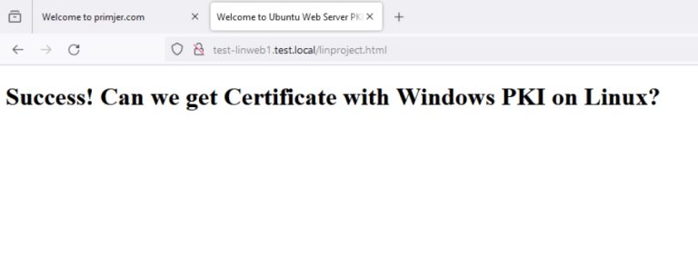 Implementing Two-Tier PKI – issuing Web Server certificate for Windows ...