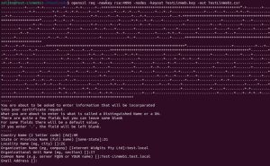 Implementing Two-Tier PKI – issuing Web Server certificate for Windows ...