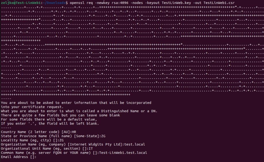 Implementing Two-Tier PKI – issuing Web Server certificate for Windows and Linux Web servers ...