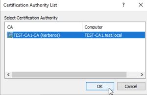 Implementing Two-Tier PKI – issuing Web Server certificate for Windows and Linux Web servers ...