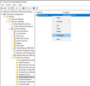 Implementing Two-Tier PKI on Windows Server 2022 – Part 4 | IT Blog