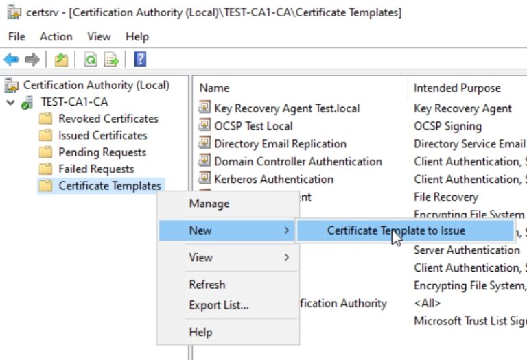 Implementing Two-Tier PKI on Windows Server 2022 – Part 6 | IT Blog