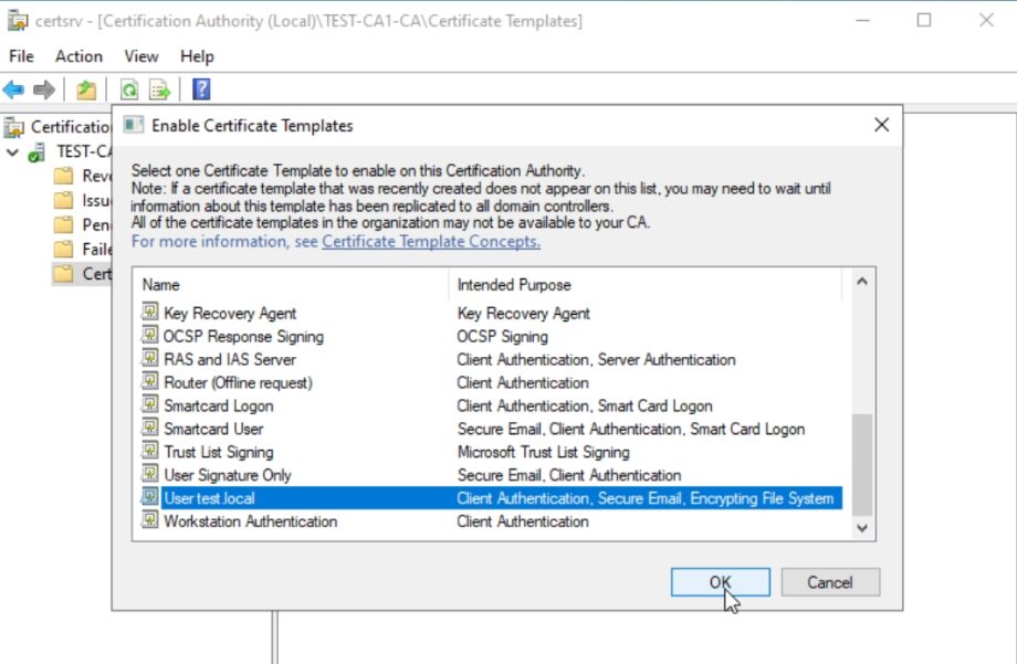 Implementing Two-Tier PKI on Windows Server 2022 – Part 6 | IT Blog