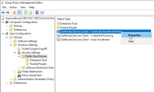 Implementing Two-Tier PKI on Windows Server 2022 – Part 6 | IT Blog
