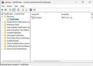 Implementing Two-Tier PKI on Windows Server 2022 – Part 6 | IT Blog