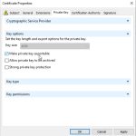 Implementing Two-Tier PKI – issuing Web Server certificate for Windows ...