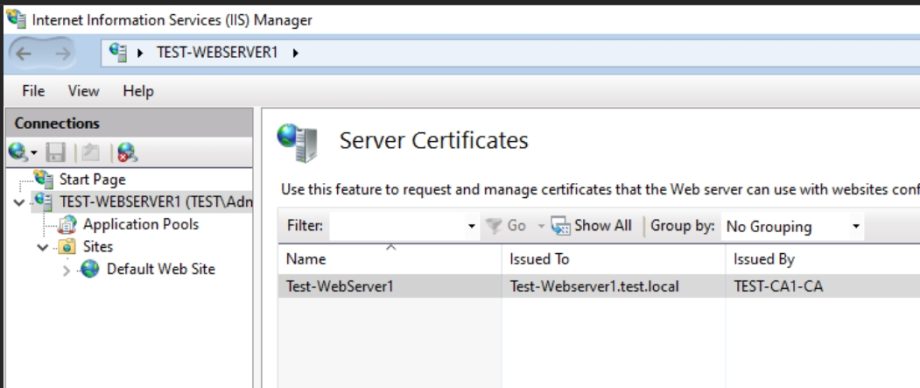 Implementing Two-Tier PKI – issuing Web Server certificate for Windows ...