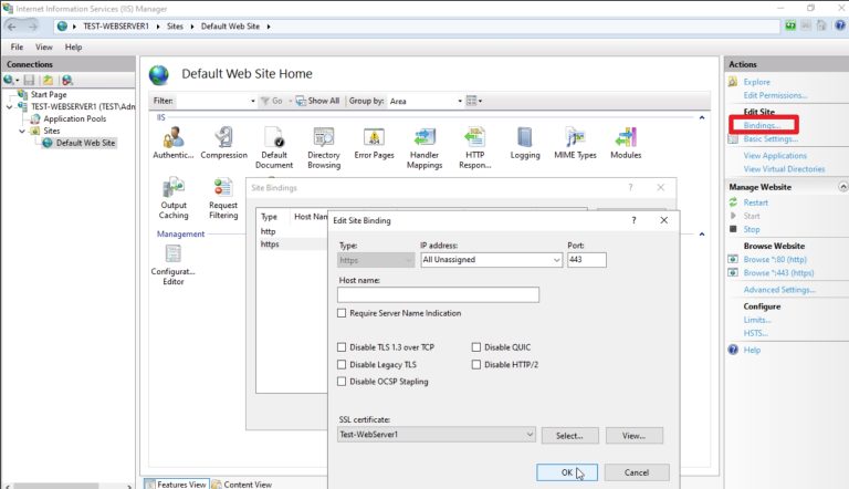 Implementing Two-Tier PKI – issuing Web Server certificate for Windows ...